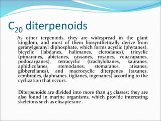 diterpenoid.ppt