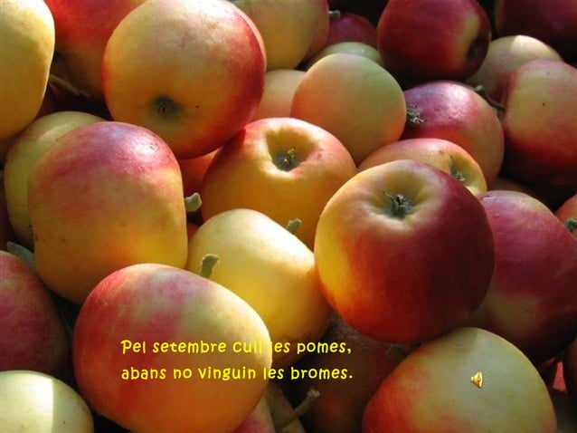 Dites i endevinalles | PPT