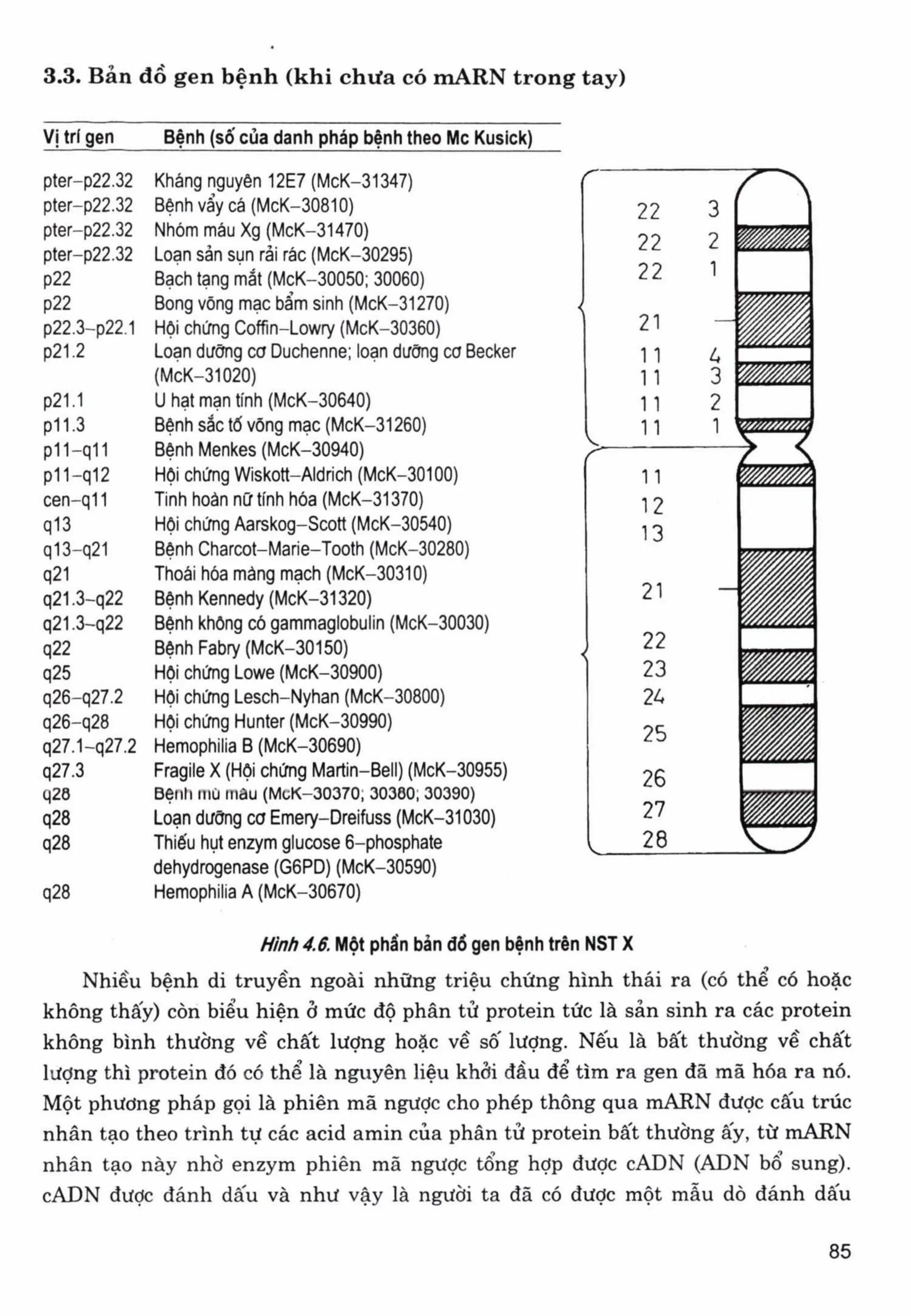 Sách giáo khoa di truyền y học YHN rất hay nha các bạn | PDF