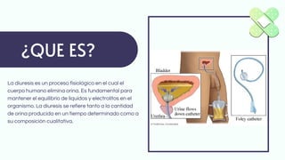 diuresis.pdf solución a lo que buscabas. | PDF