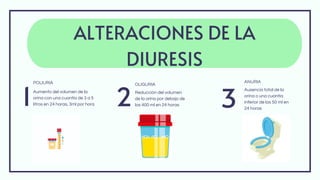 diuresis.pdf solución a lo que buscabas. | PDF