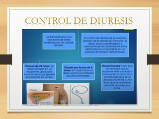 DIURESIS Y DENSIDAD.pptx