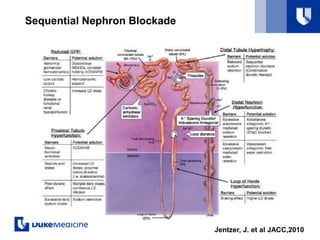 Diuretic strategies in AHF : dose dose matter ? | PPT
