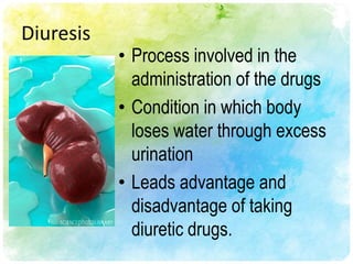 Diuretic drugs | PPTX
