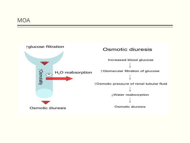 Diuretic drugs.classification with mechanism | PPT