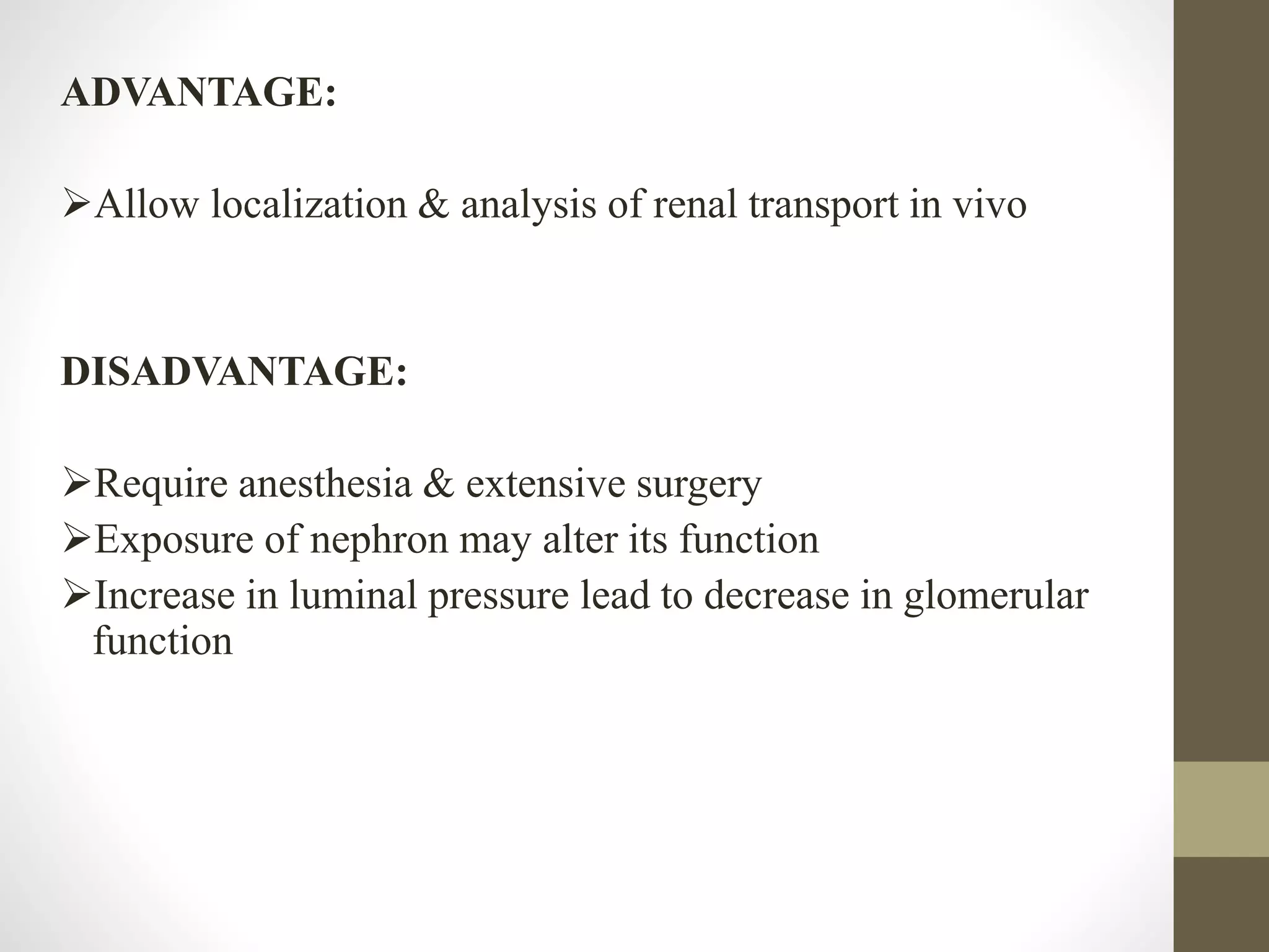 Diuretics screening models | PPTX