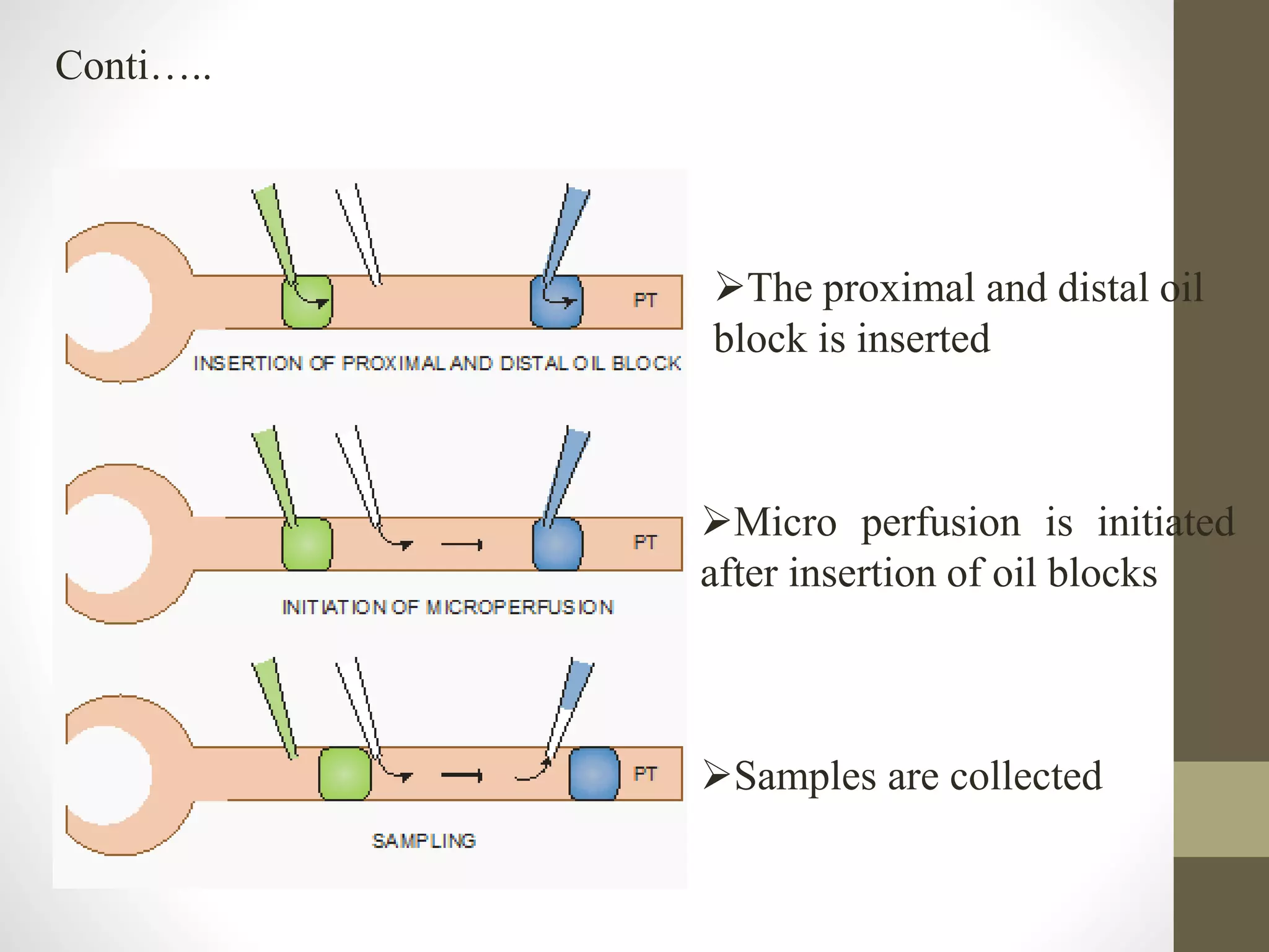 Diuretics screening models | PPTX