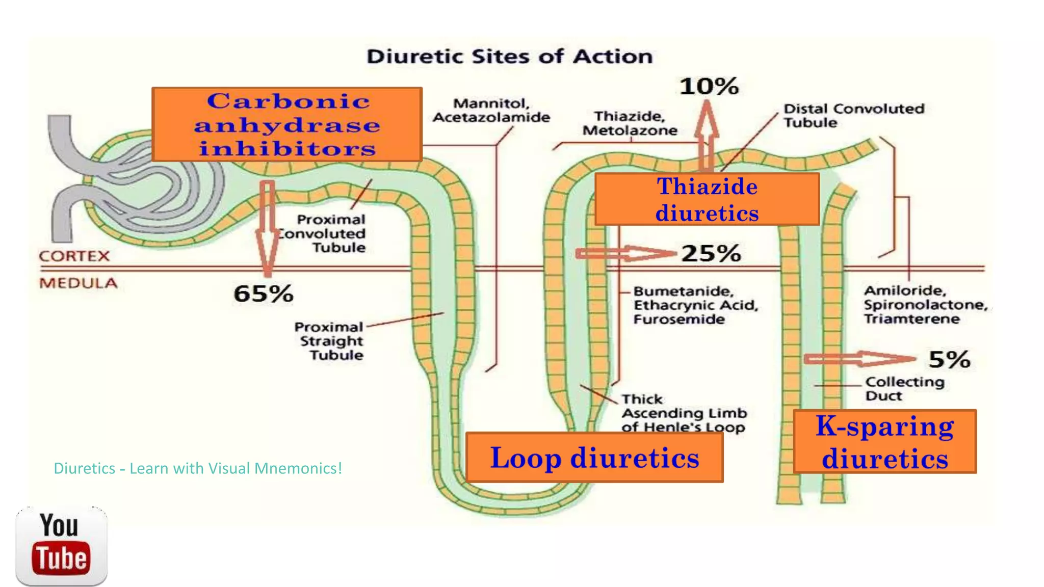 Diuretic notes.ppt