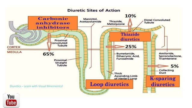 Diuretic notes.ppt