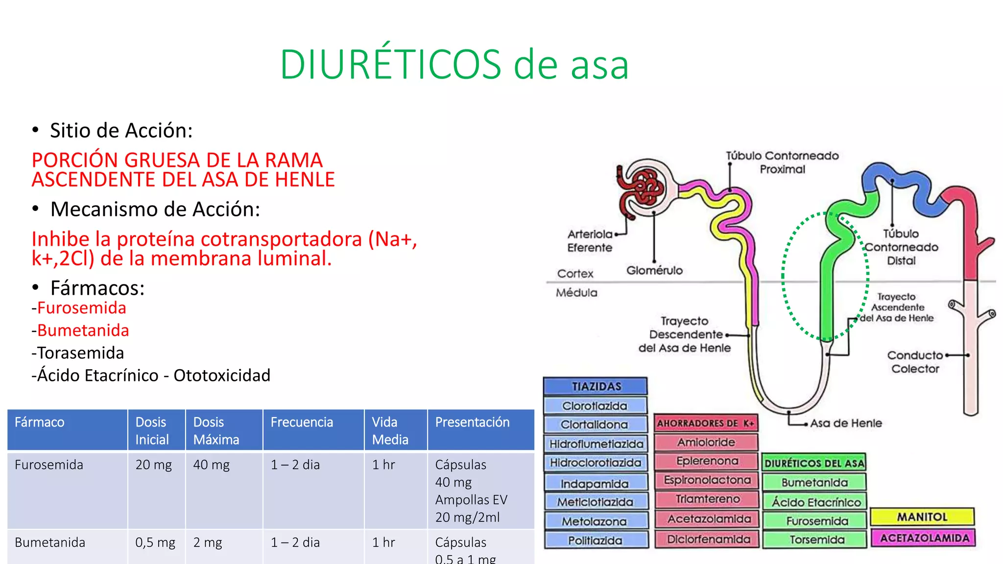 Diureticos.pptx