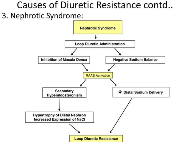 Diuretic resistance- Pharmacology | PPTX | Medical Health