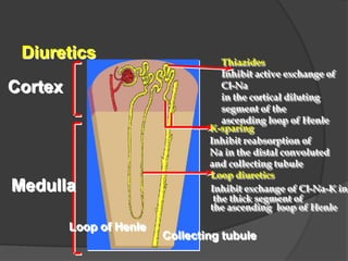 Diuretics | PPSX