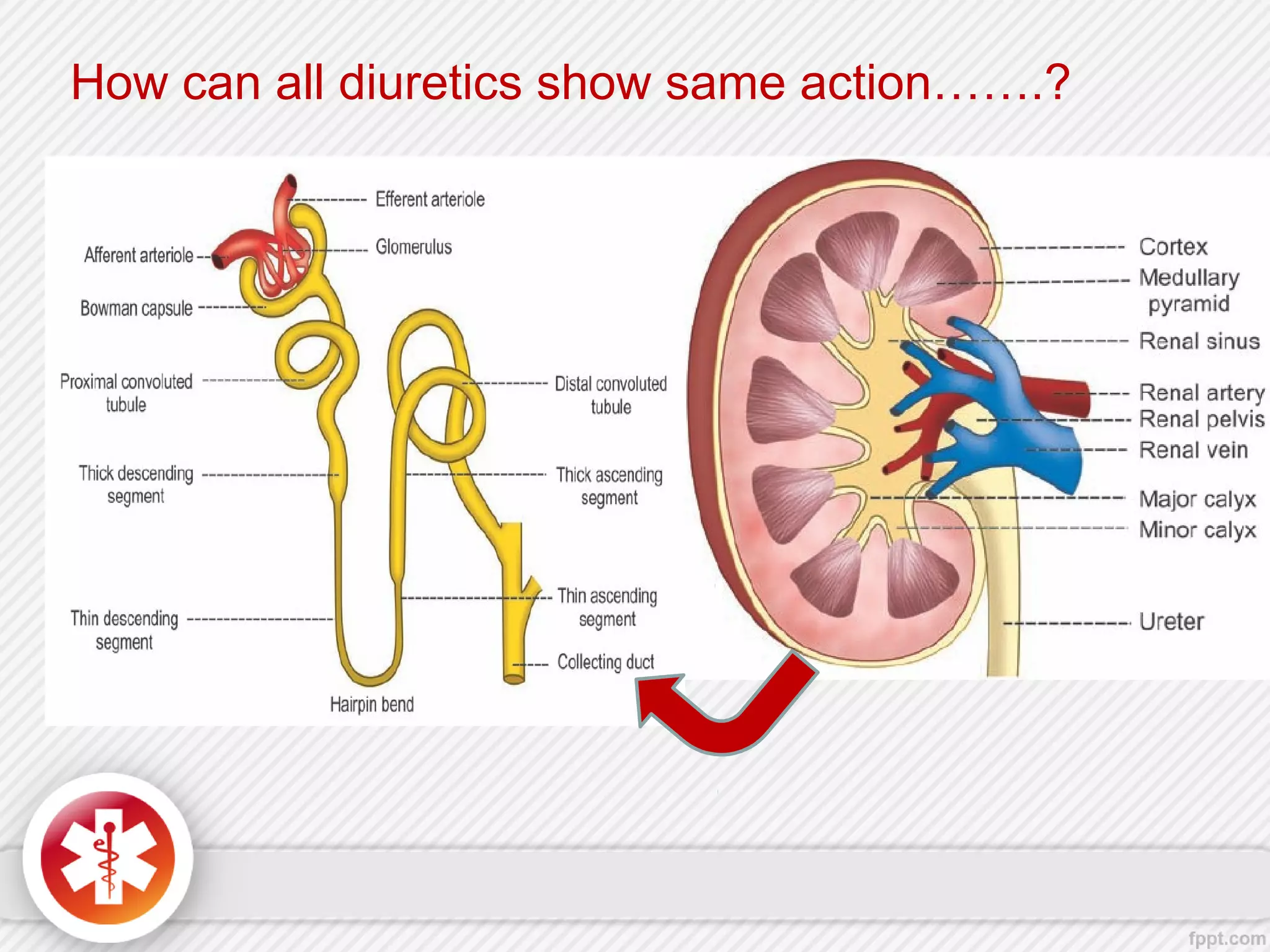 Diuretics | PPT