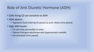 Diuretics | PPTX
