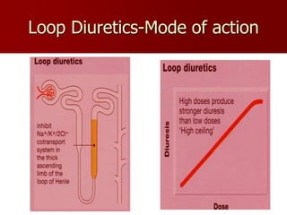 Diuretics by Dr. Sookun Rajeev Kumar M.D | PPTX