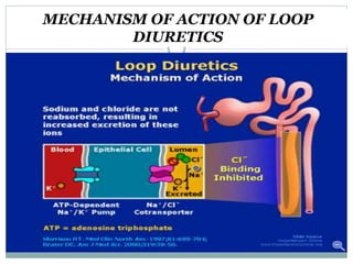 Diuretics... | PPTX