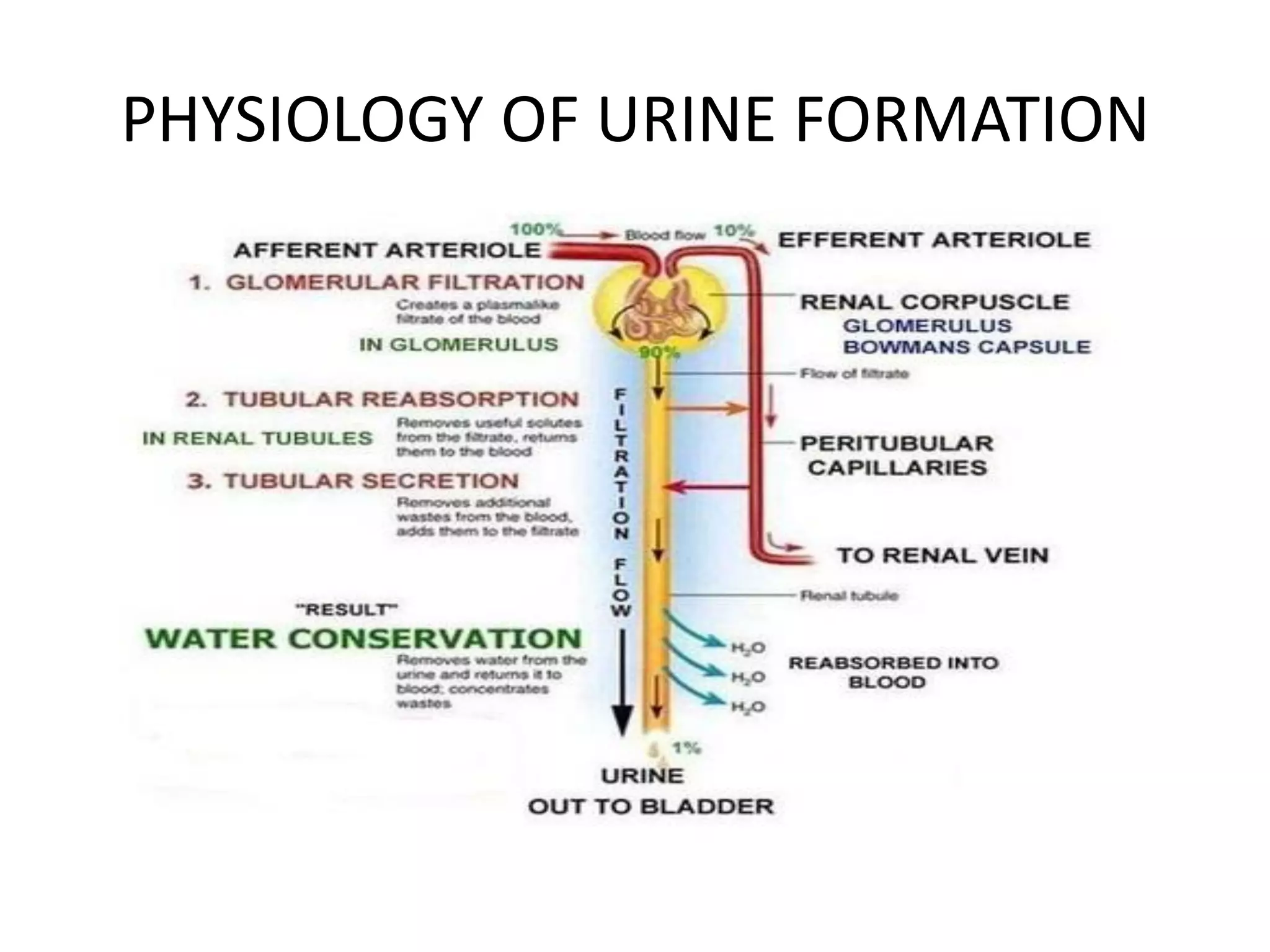 Diuretics | PDF | Chemistry | Science