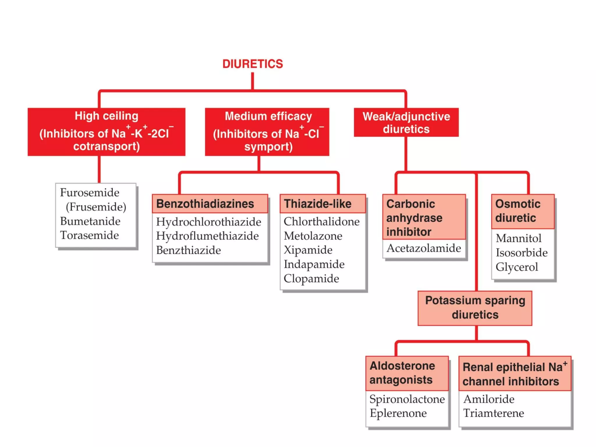 Diuretics | PDF | Chemistry | Science