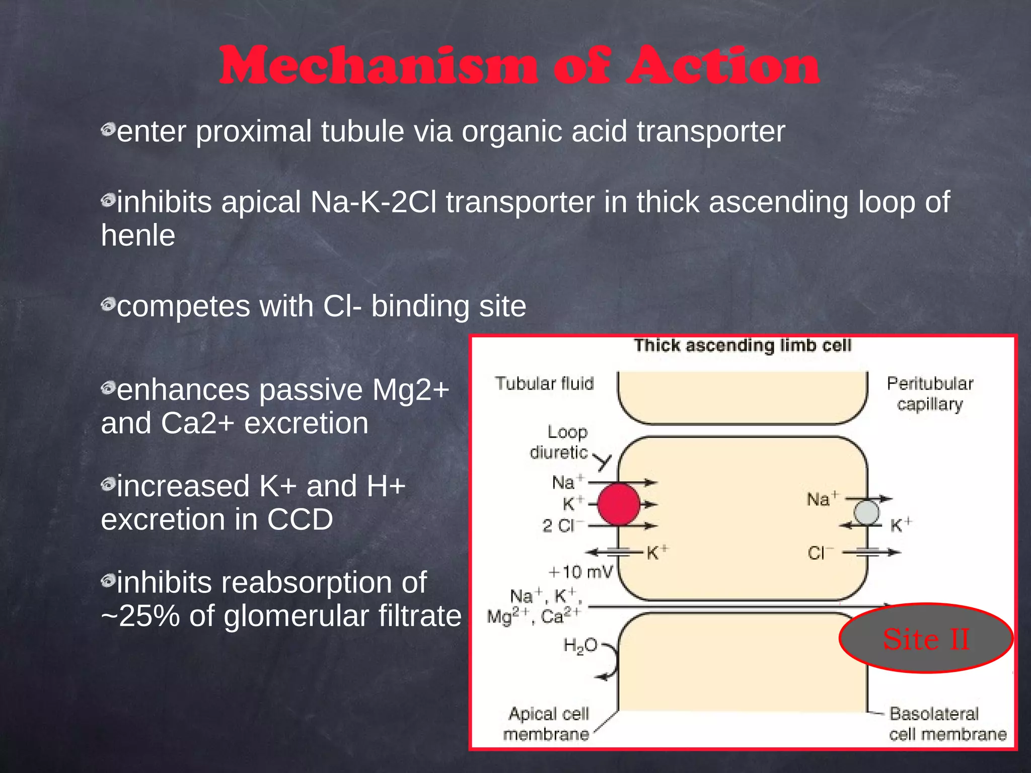 Diuretics | PPT