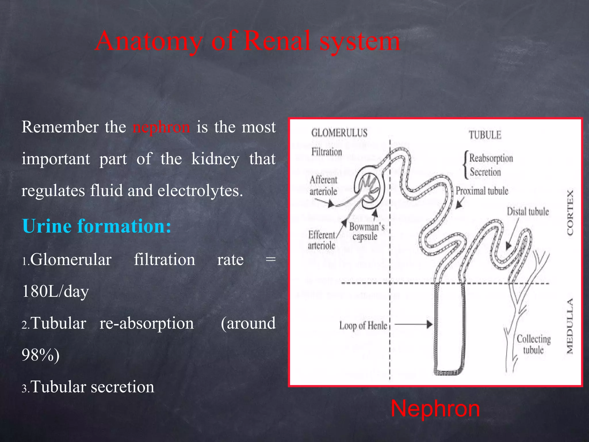 Diuretics | PPT