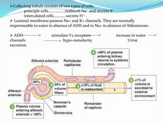 Diuretics | PPTX | Chemistry | Science