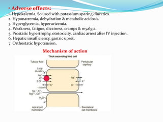 Diuretics | PPTX | Chemistry | Science