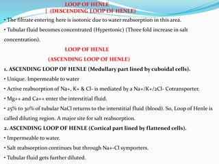 Diuretics | PPTX | Chemistry | Science