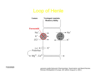 Loop Of Henle Diuretics