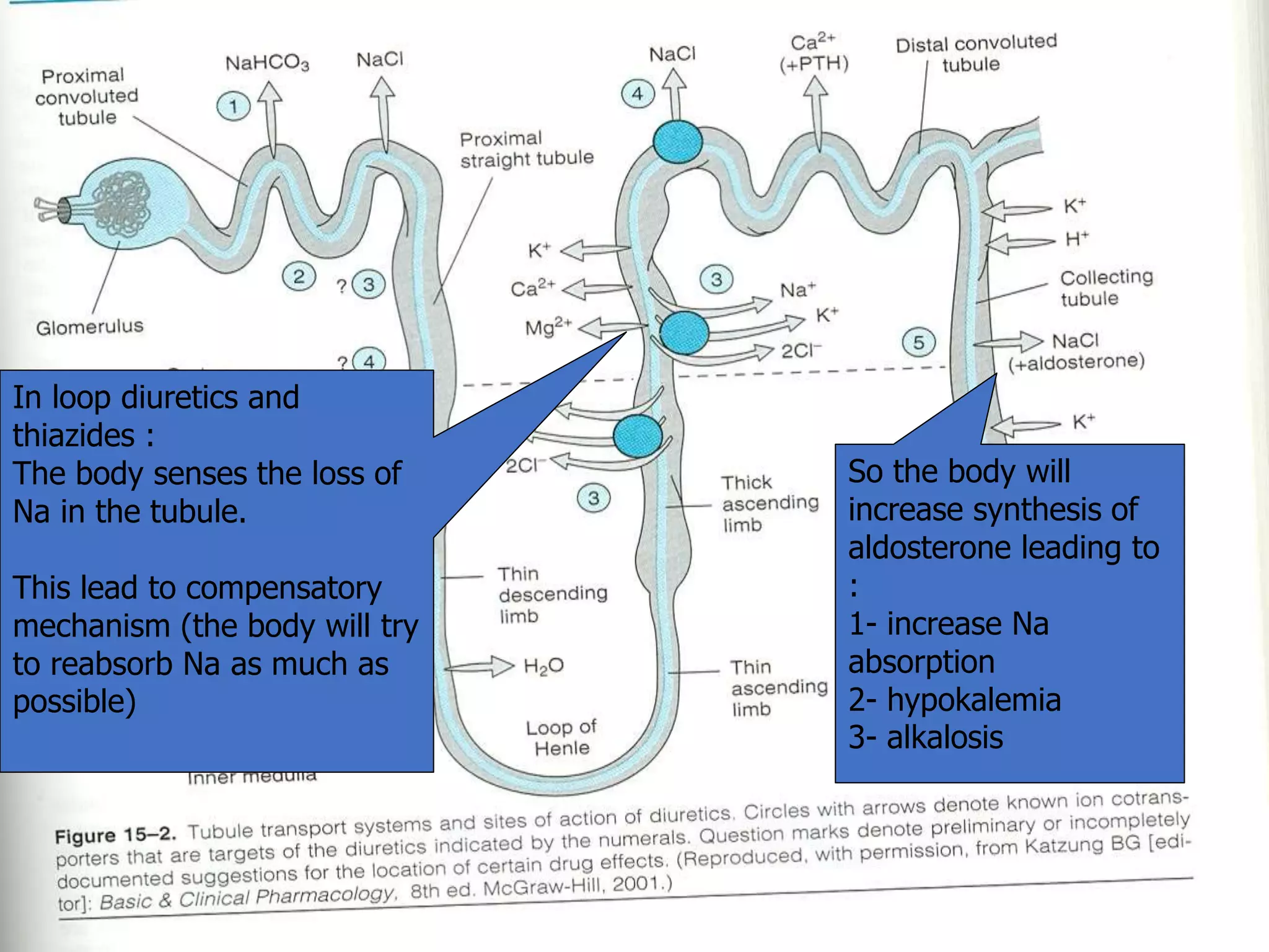 Diuretics | PPT