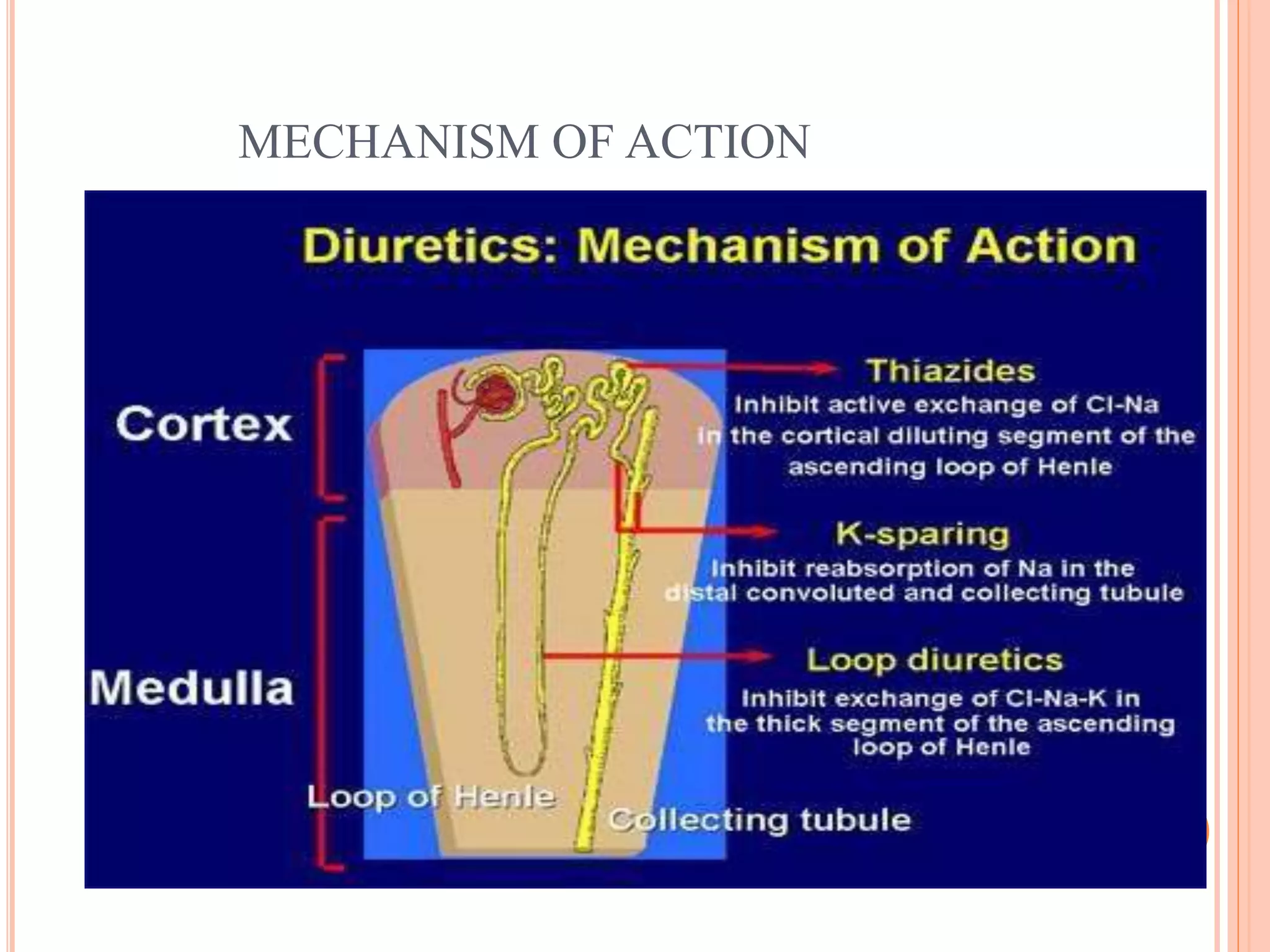 Diuretics | PPTX