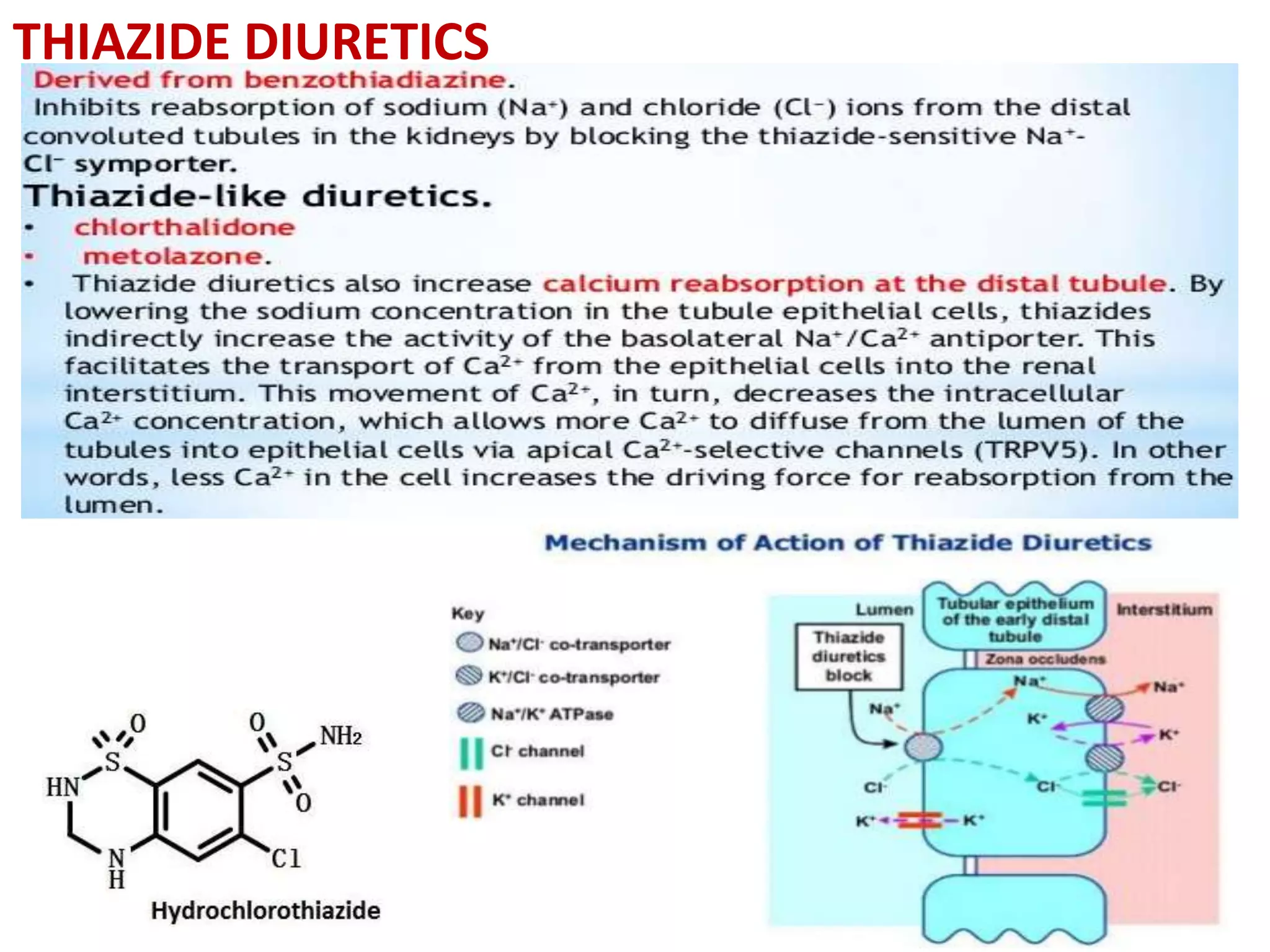Diuretics | PPTX