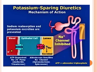 Diuretics | PPT