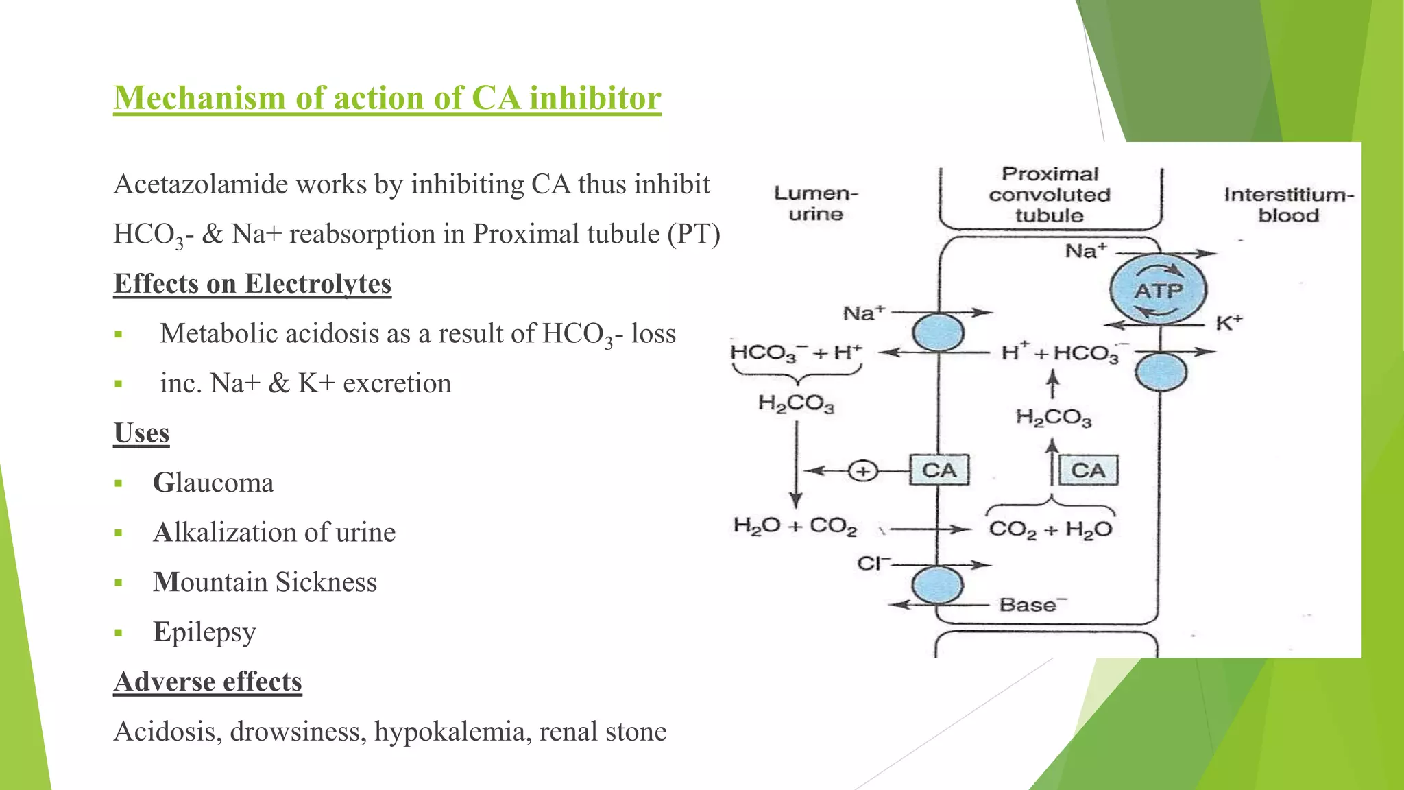 Diuretics | PPTX