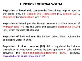 Diuretics | PPT