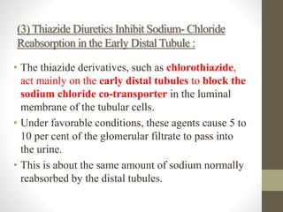 Diuretics.pptx