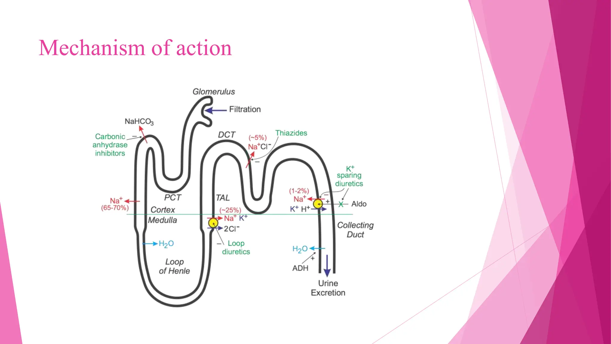 diuretics.pptx