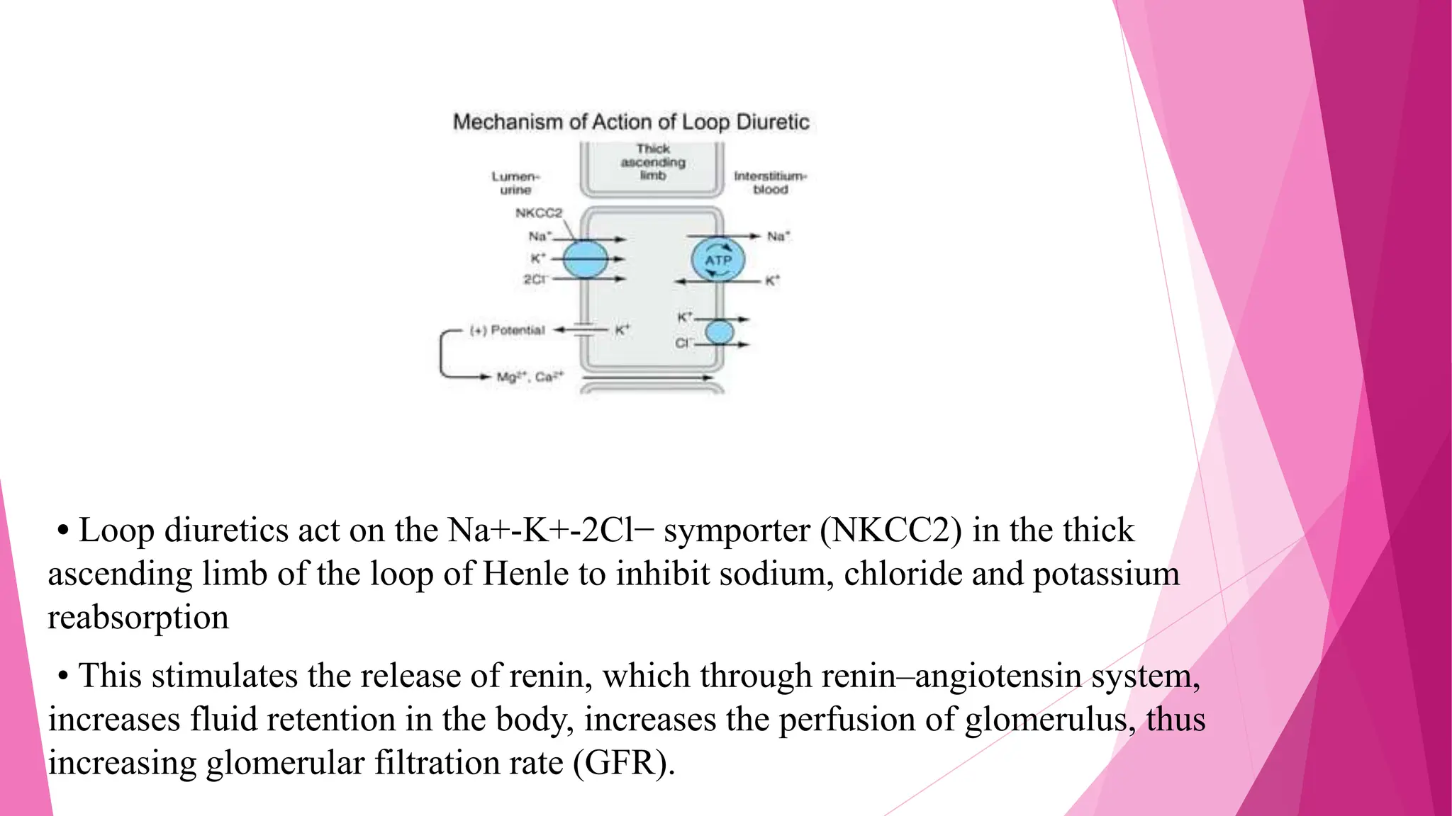 diuretics.pptx