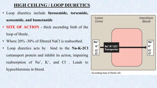 A presentation on DIURETICS and their potential | PPT