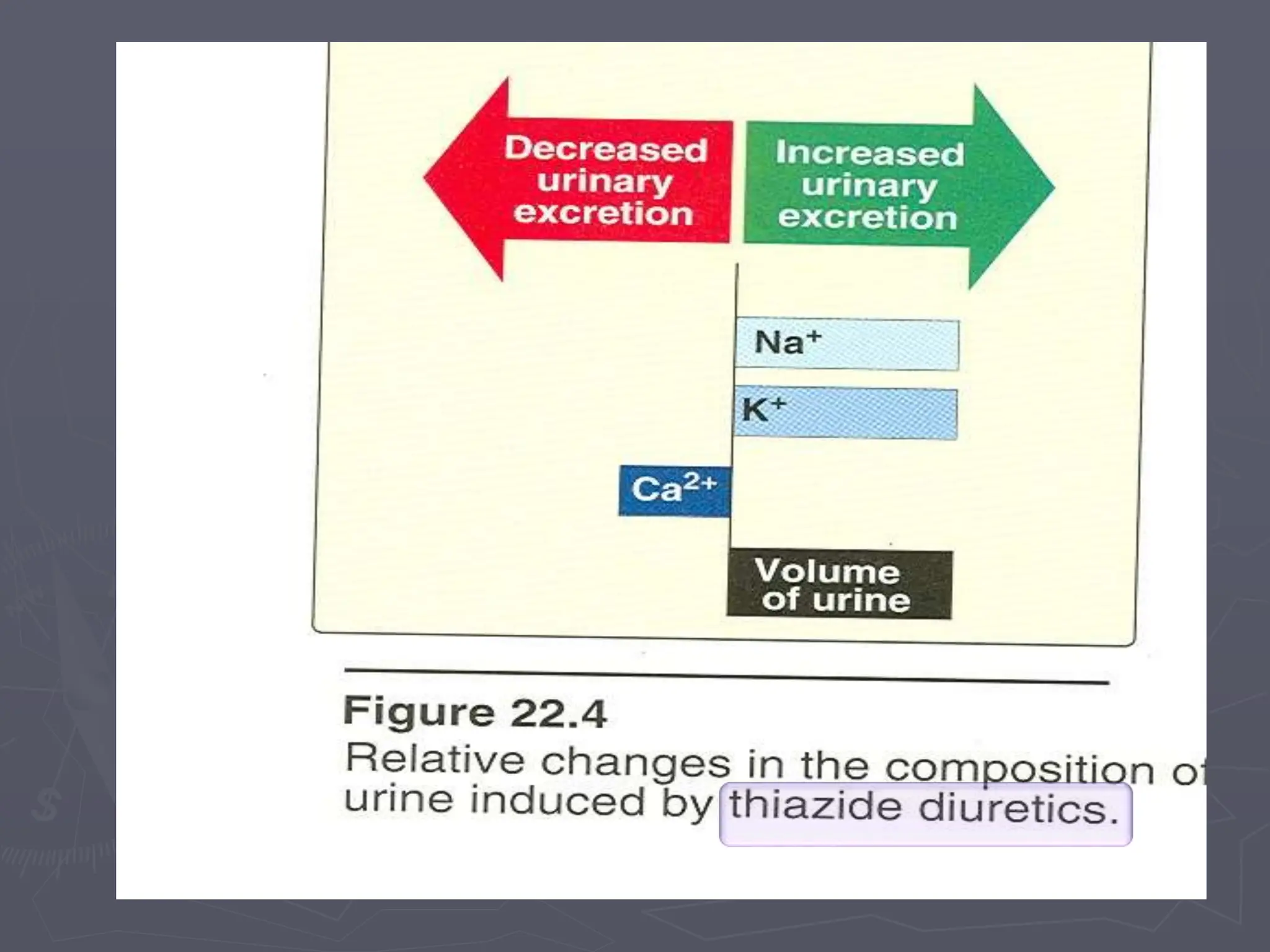 Diuretics its classification and Pharmacology.ppt | Blood Disorders ...