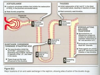 Diuretics its classification and Pharmacology.ppt