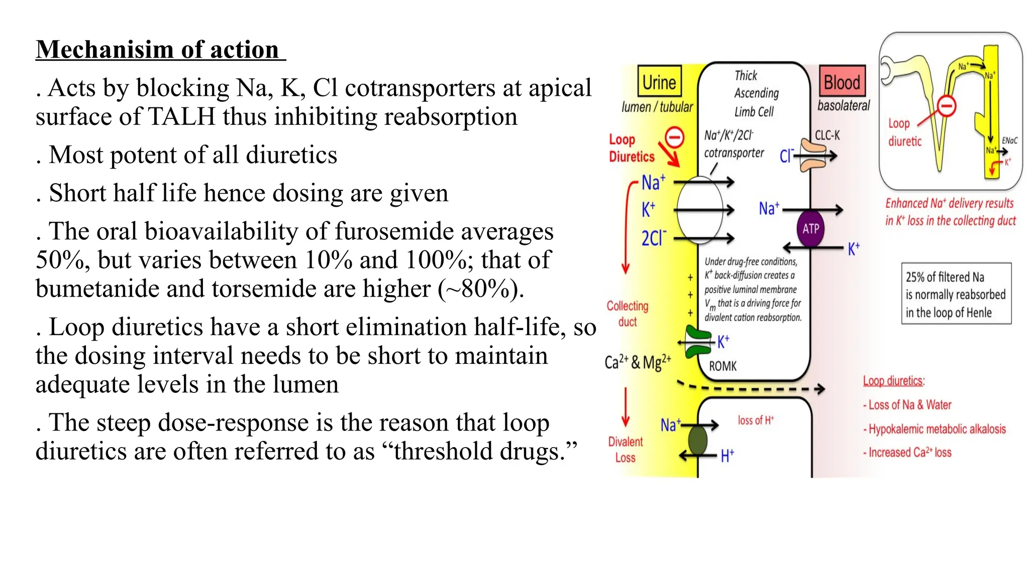 Diuretics, it's use and mechanism of action | PPTX