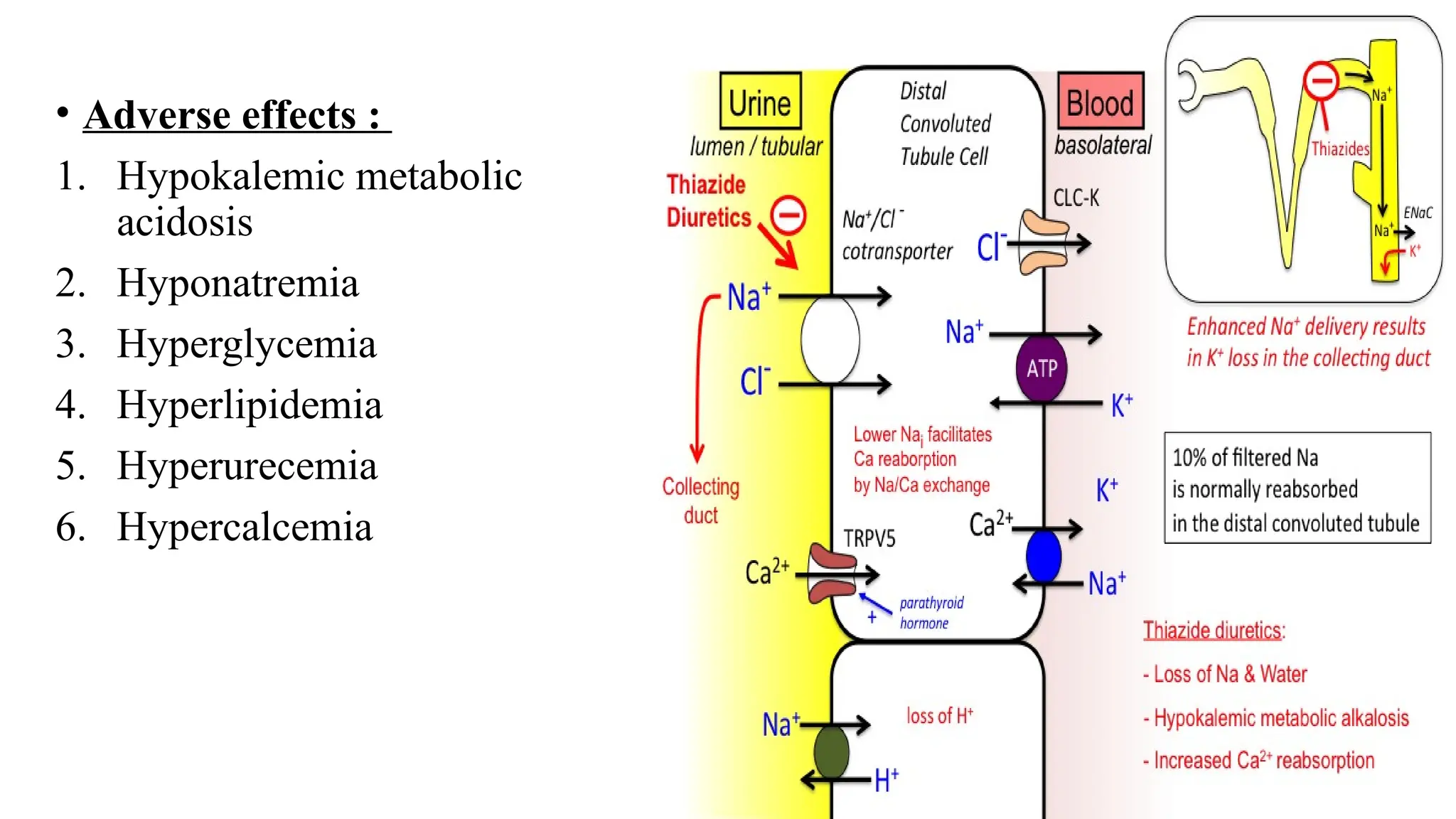 Diuretics, it's use and mechanism of action | PPTX