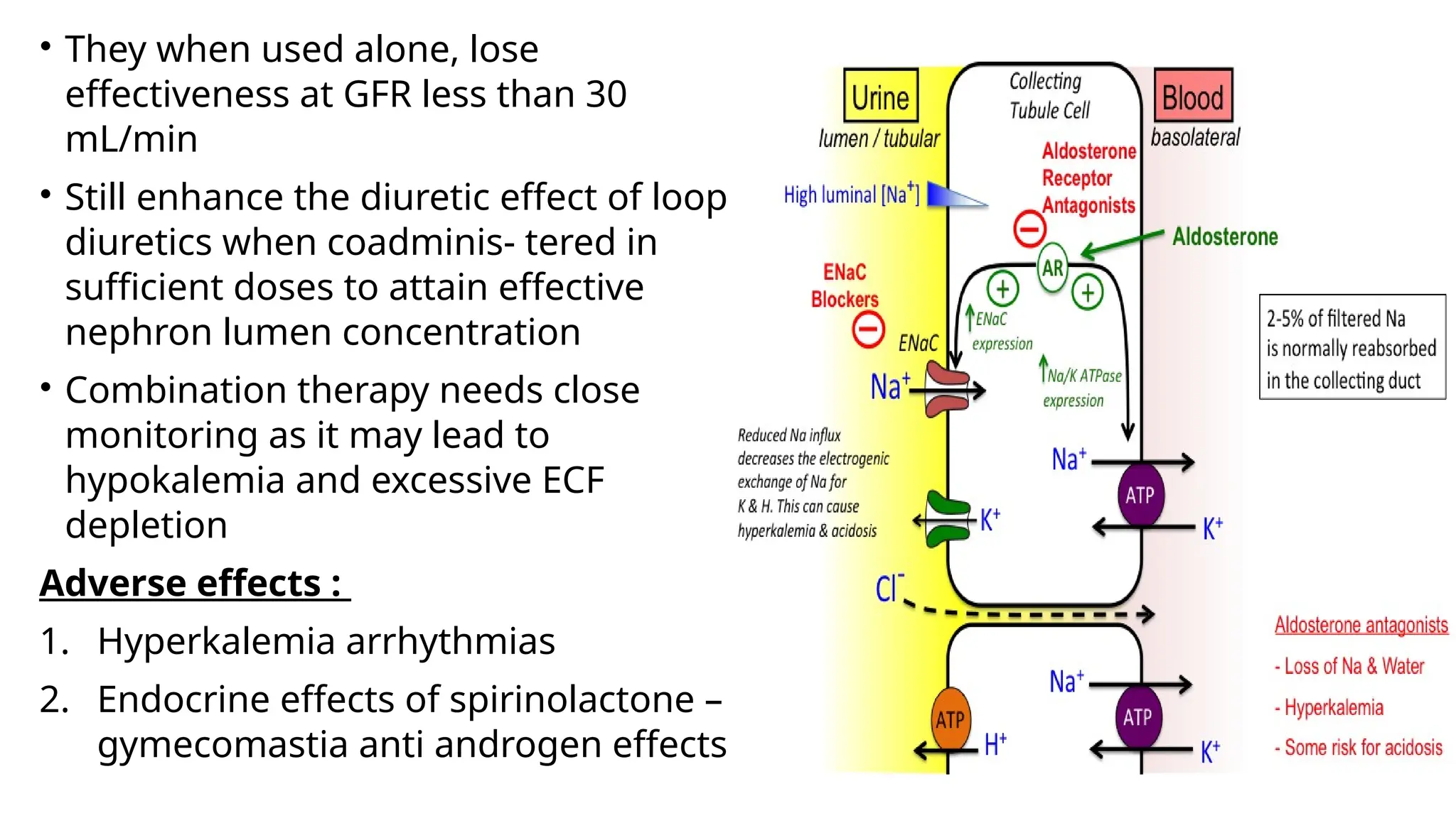 Diuretics, it's use and mechanism of action | PPTX