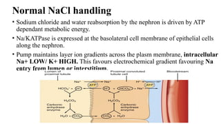 Diuretics, it's use and mechanism of action | PPTX