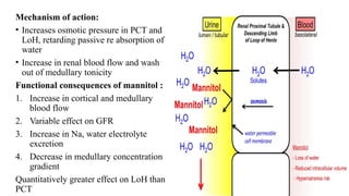 Diuretics, it's use and mechanism of action | PPTX