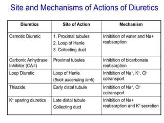PRESENTATION ON DIURETIC AGENTS MEDICINAL CHEMISTRY | PDF