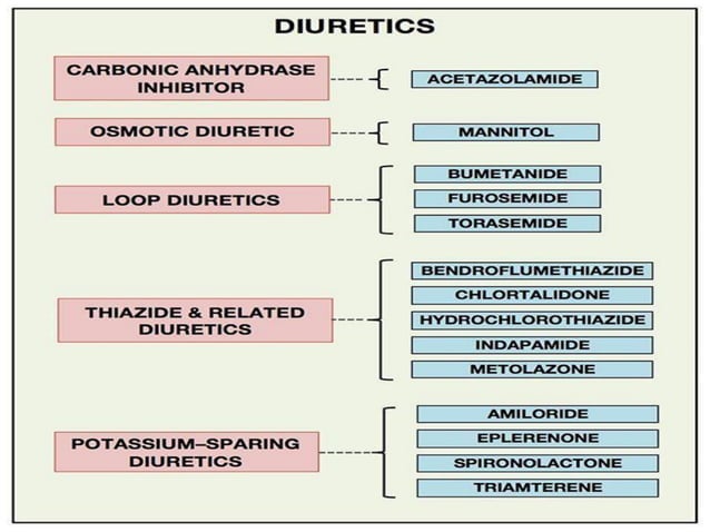 Drugs used as Diuretics medicinal chemistry | PPT