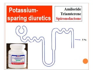 Pharmacology of Diuretics,Classification with their mechanism of action ...
