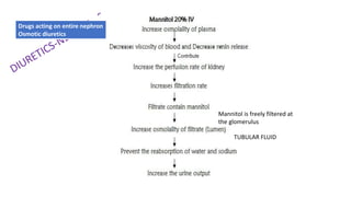 DIURETICS-NEETHU.I.S.pptx FIFTH SEMESTER.B.PHARM KUHS | PPTX