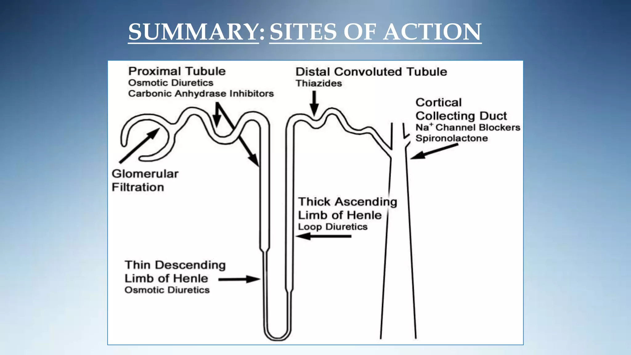 diuretics 1.pptx